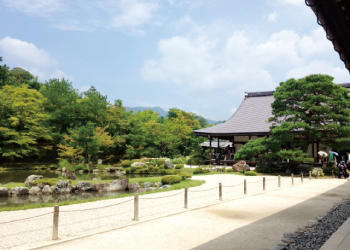 Mr.Guu流行るにはワケがある！＃34 | TORJA