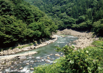 Mr.Guu流行るにはワケがある！＃34 | TORJA