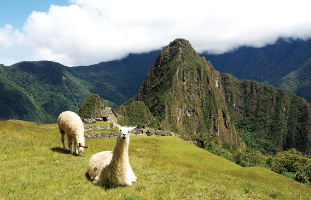 TORJA読者旅行記#34 | TORJA