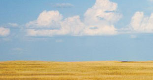 カナダ・日本・世界を見つめる8人組 #34 | TORJA